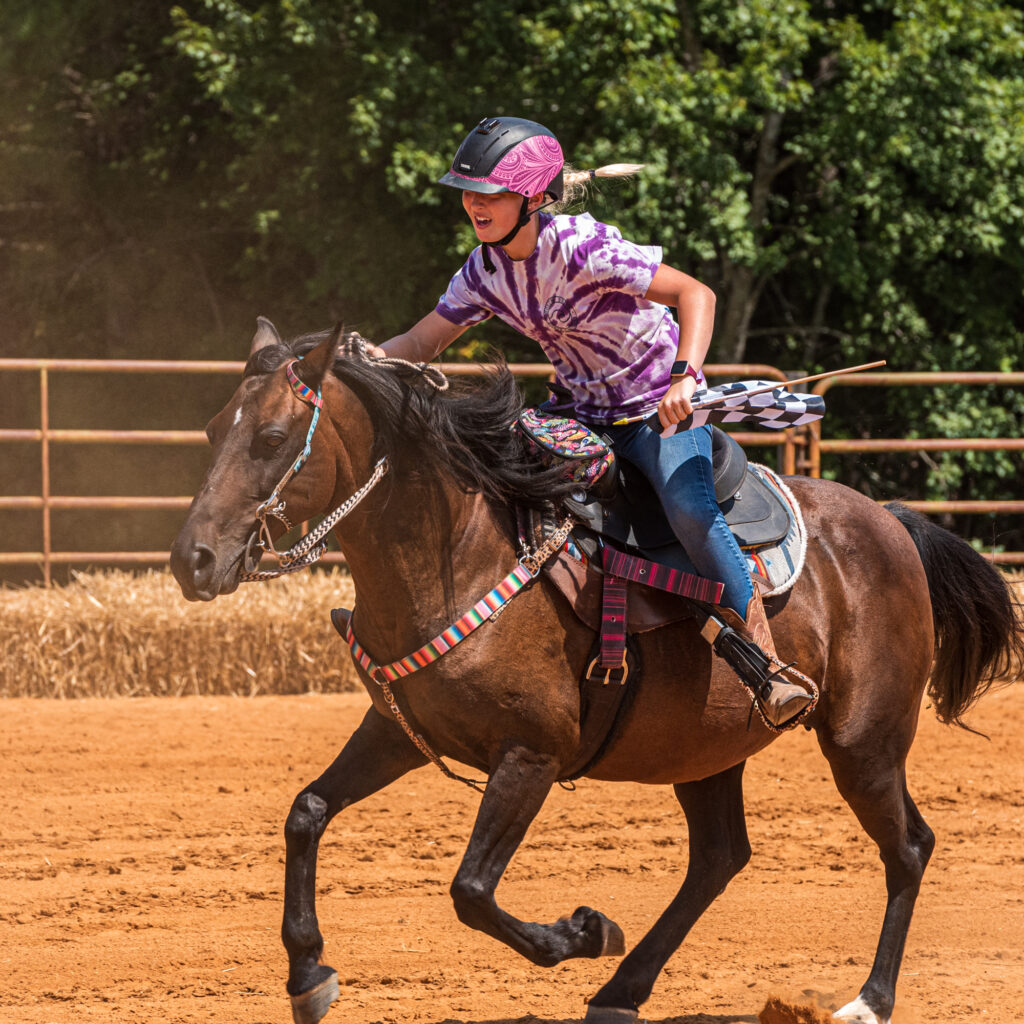CCFA Summer Classic Horse Show - Chesterfield County Fair